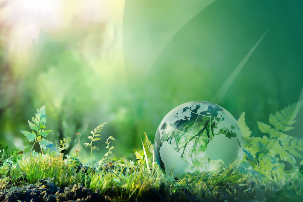 Sustainability Through Quality and Inclusion | Stivel